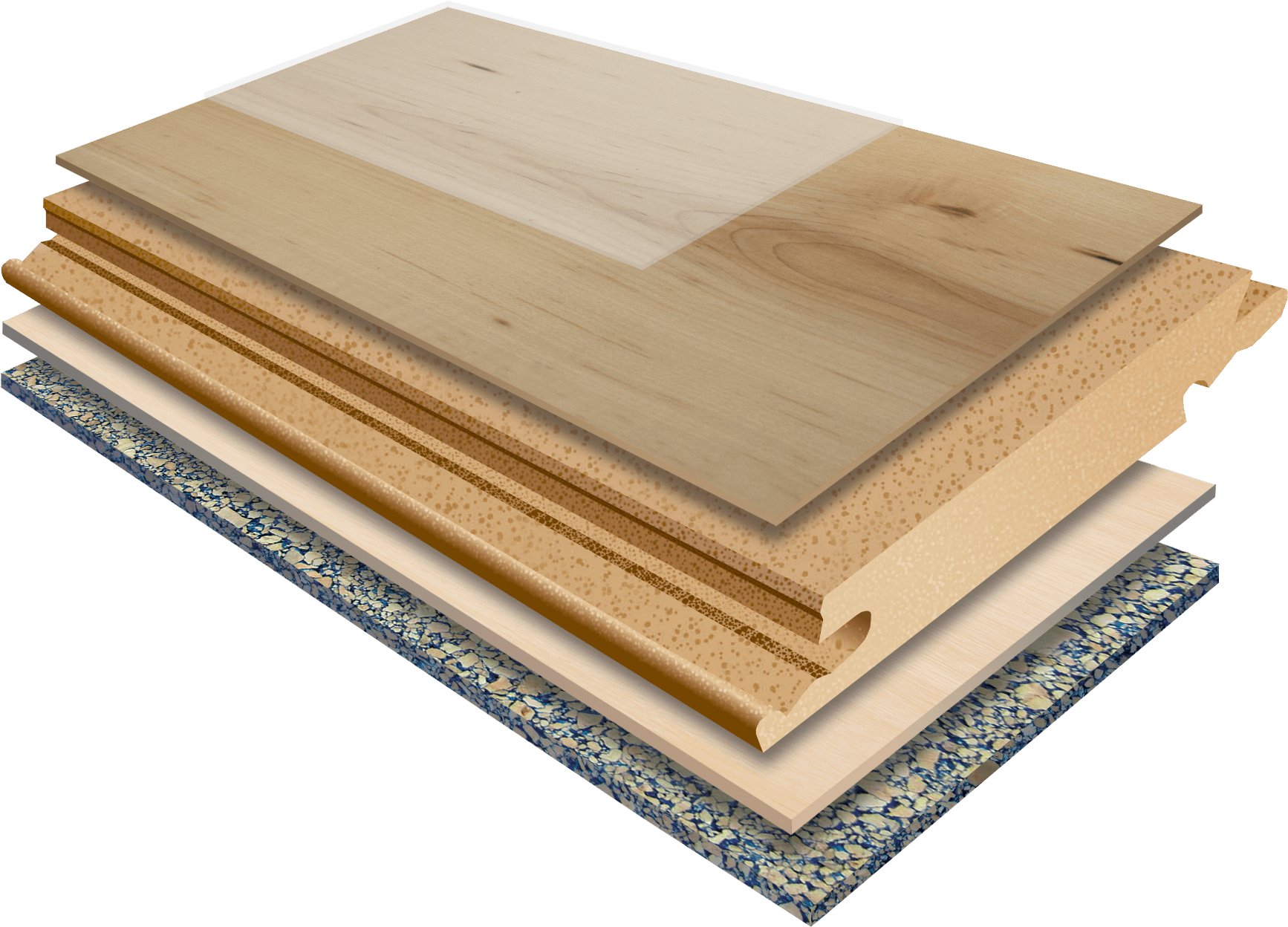 Torlys Flooring | Torlys